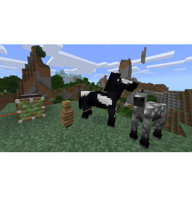 Minecraft: 700 Tokens (PS4) - Digital | ApeCodes